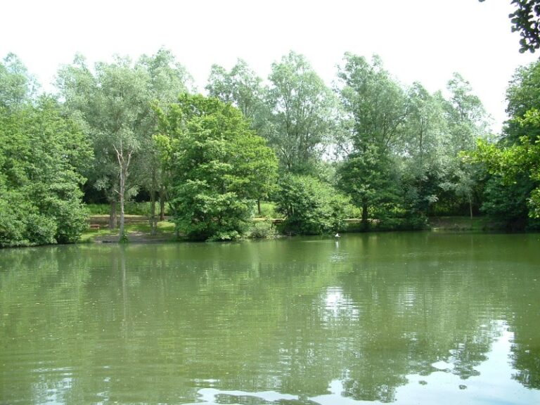 Great Linford Lakes (Buckinghamshire) - Day Ticket Lakes