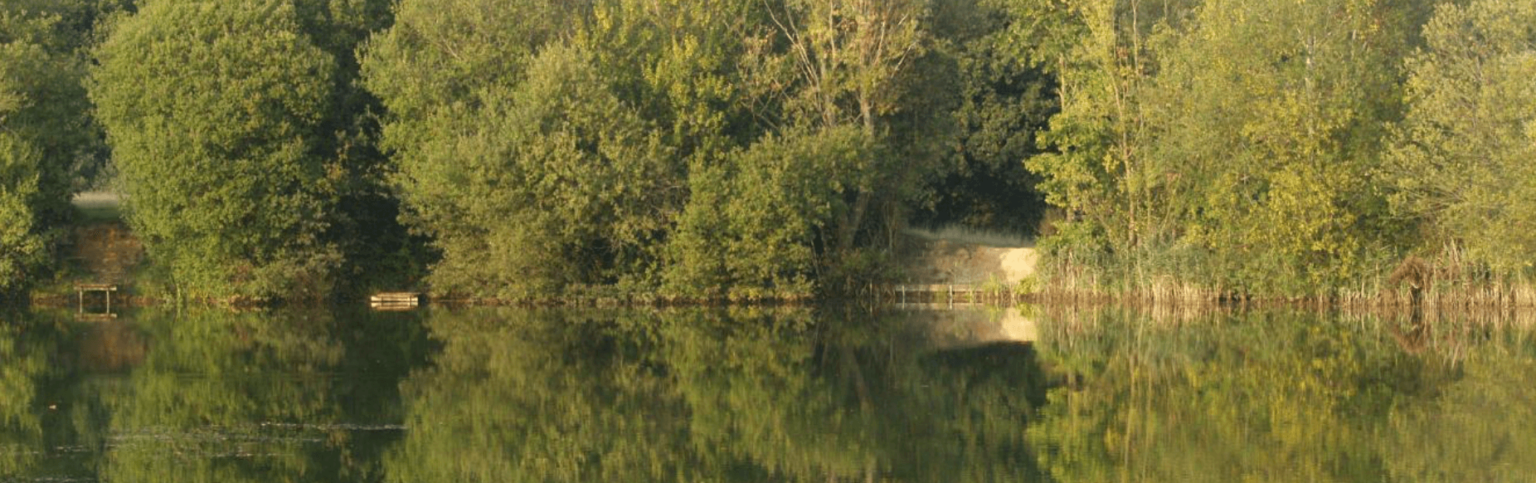 Bicknacre Jackletts Farm (Essex) - Day Ticket Lakes
