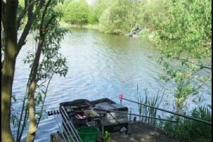 Pea Lane (Essex) - Day Ticket Lakes