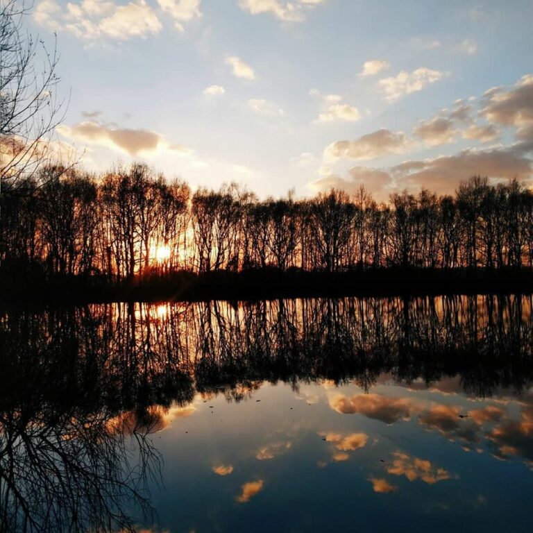 Ashby Farms Ltd. (Kent) - Day Ticket Lakes