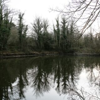 Fishing Lakes in Hertfordshire - Day Ticket Lakes