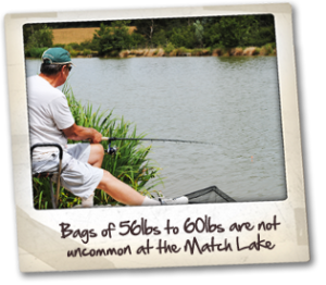 Clavering Lakes (Essex) - Day Ticket Lakes