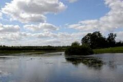 Day Ticket Lakes | Carp & Coarse Day Ticket Fishing Lakes Near You