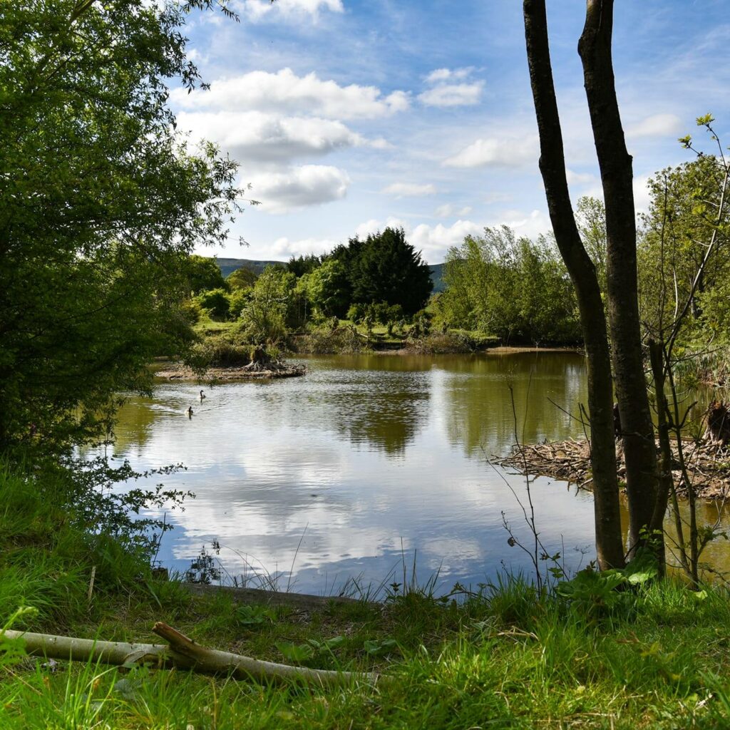 Westfield Farm (Yorkshire) - Day Ticket Lakes