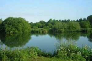 River Gade (Hertfordshire) - Day Ticket Lakes