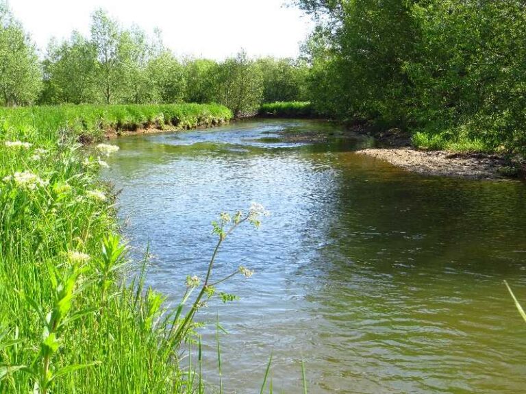 River Rye (Yorkshire) - Day Ticket Lakes