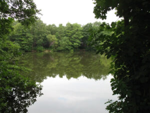 Sand Hutton Gravel Pits (Yorkshire) - Day Ticket Lakes