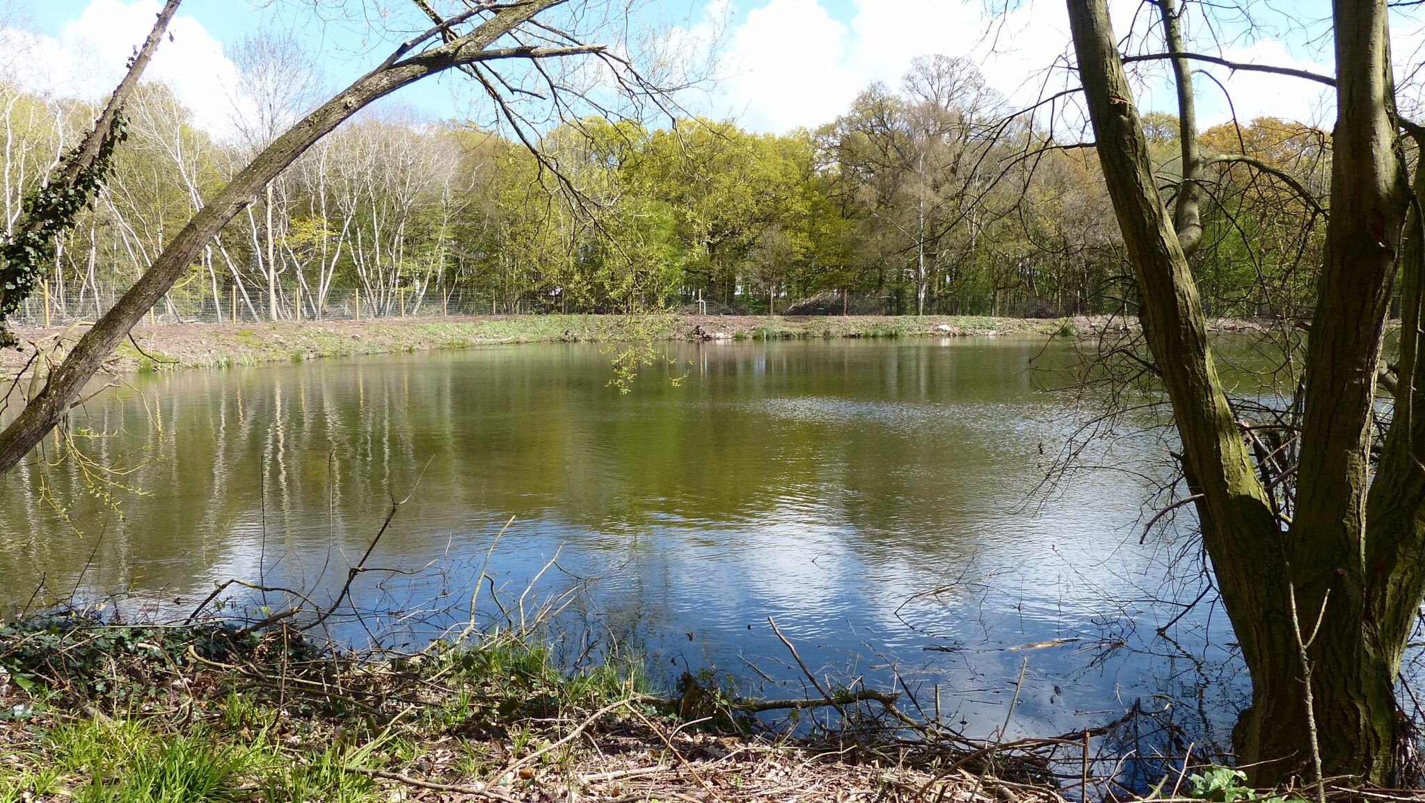 Tiptree Reservoir (Essex) - Day Ticket Lakes