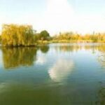 Verulam Angling (Hertfordshire) - Day Ticket Lakes