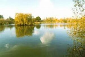 Verulam Angling (Hertfordshire) - Day Ticket Lakes
