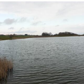 Colemans Cottage Fishery (Essex) - Day Ticket Lakes
