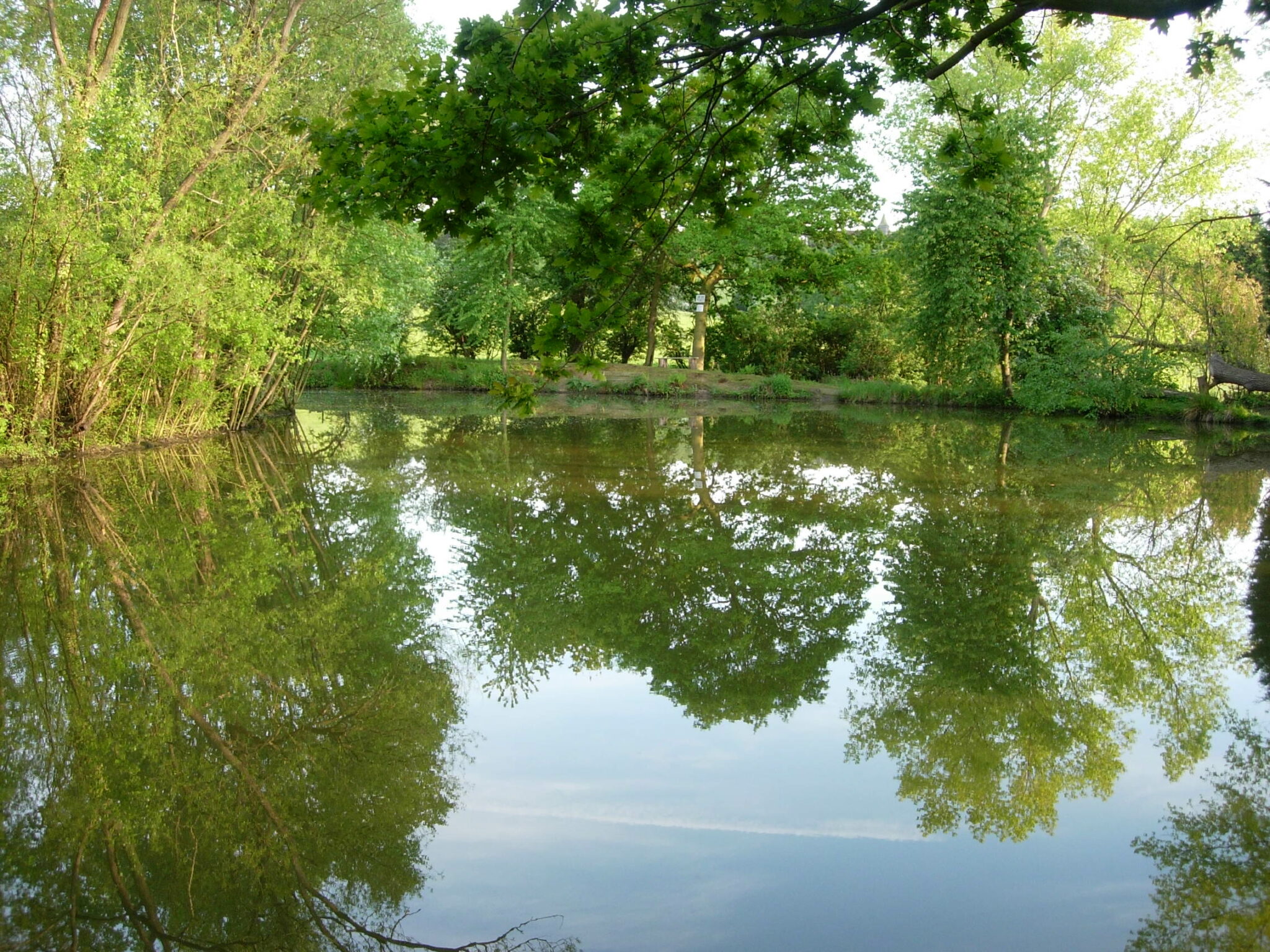 Paradise Estate Lake (Essex) - Day Ticket Lakes