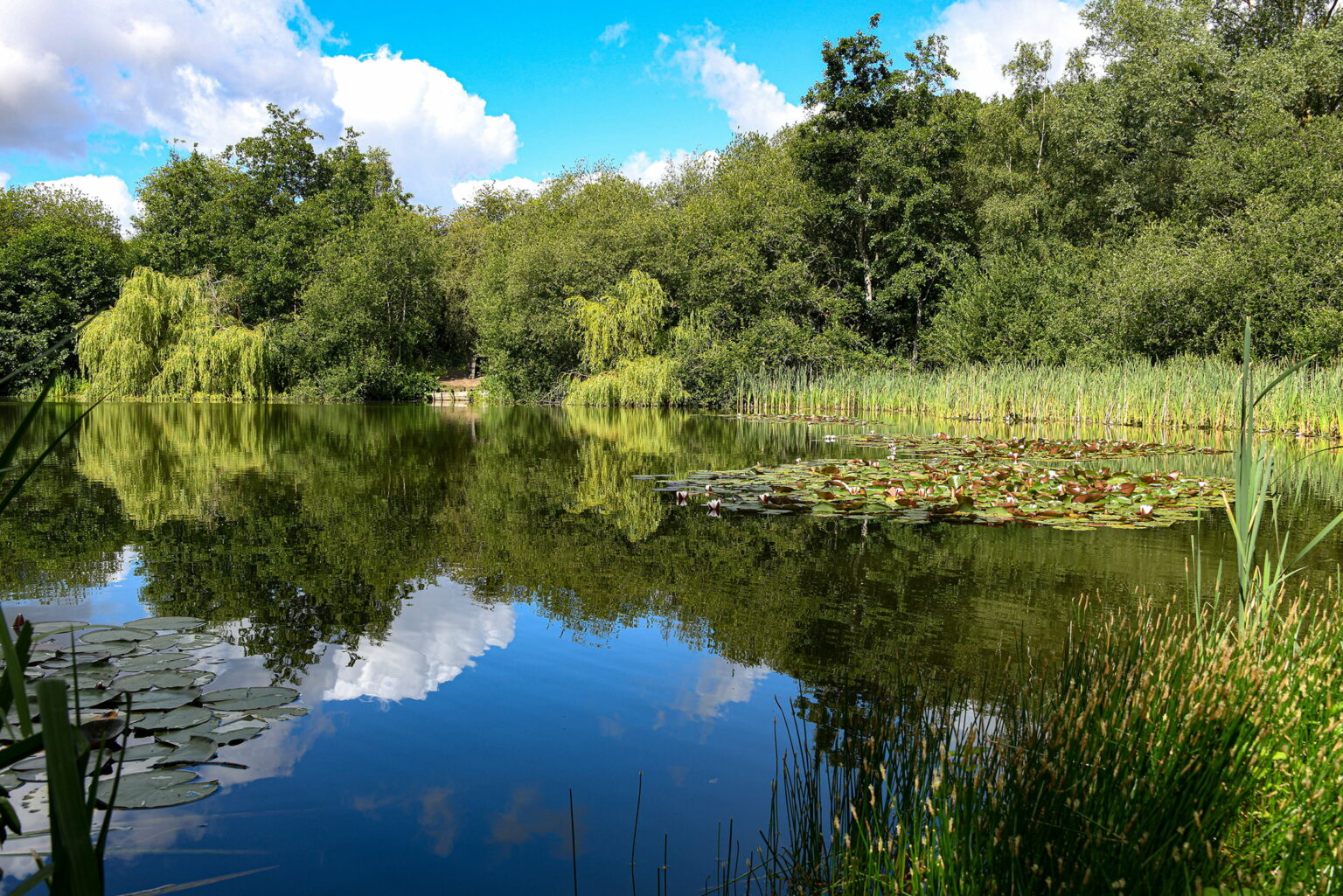 Silver End Pits (Essex) - Day Ticket Lakes
