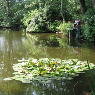 Fishing Lakes in Cheshire - Day Ticket Lakes