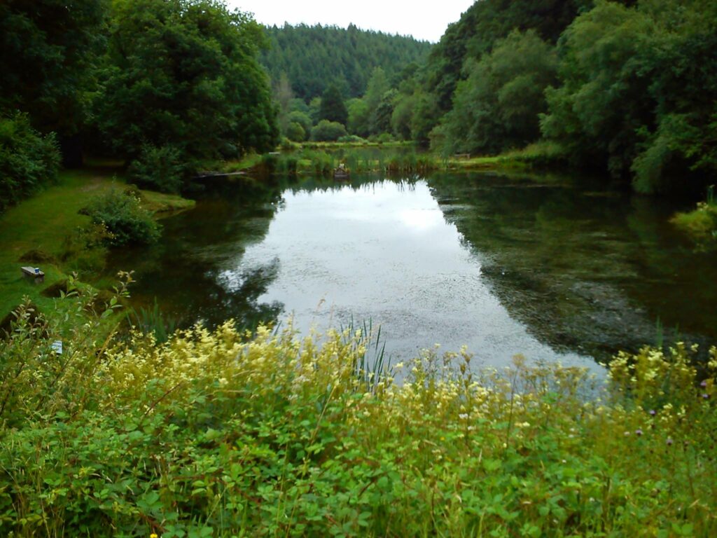 Fishing Lakes in Worcestershire - Day Ticket Lakes