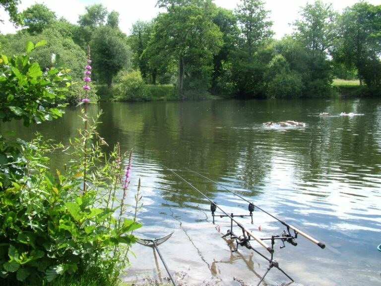 Bradley Pond (Devon) - Day Ticket Lakes