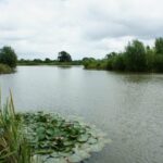 Meon Springs Fly Fishery (Hampshire) - Day Ticket Lakes