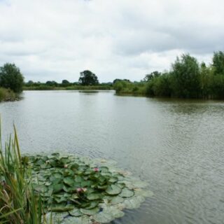Farleigh Wood Fishery (Somerset) - Day Ticket Lakes