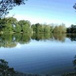 Holbury Lakes Trout Fishery (Hampshire) - Day Ticket Lakes