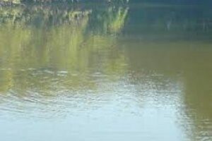 Faringdon Lodge Pools (Lancashire) - Day Ticket Lakes