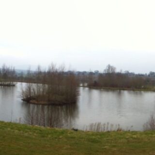 Dunham Fisheries (Cheshire) - Day Ticket Lakes