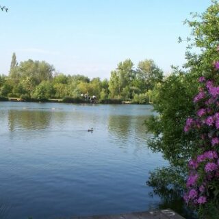 Ellerdine Lakes (Shropshire) - Day Ticket Lakes