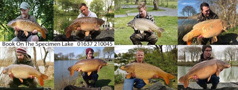 Gwinear Angling's Specimen and Match Pleasure Lake (Cornwall) - Day ...