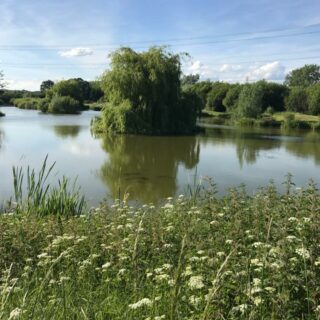 Coking Farm Fishery (Hampshire) - Day Ticket Lakes