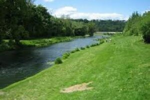 Meon Springs Fly Fishery (Hampshire) - Day Ticket Lakes