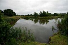 Day Ticket Lakes | Carp & Coarse Day Ticket Fishing Lakes Near You