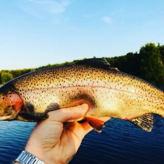 Dunham Fisheries (Cheshire) - Day Ticket Lakes