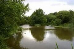 Pilsworth Fishery (Lancashire) - Day Ticket Lakes