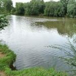 Docklow Pools (Herefordshire) - Day Ticket Lakes