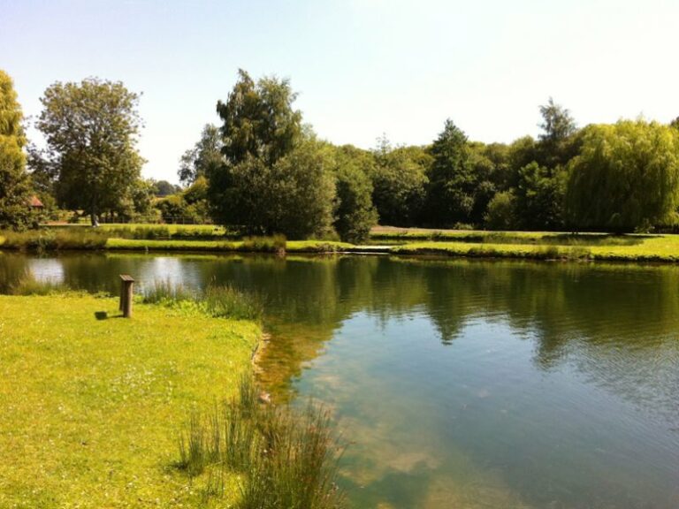 Sutton Springs Trout Fishery (Hampshire) - Day Ticket Lakes