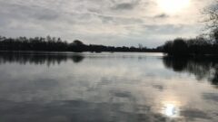 Day Ticket Lakes | Carp & Coarse Day Ticket Fishing Lakes Near You