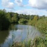 Wraysbury Lakes (Surrey) - Day Ticket Lakes