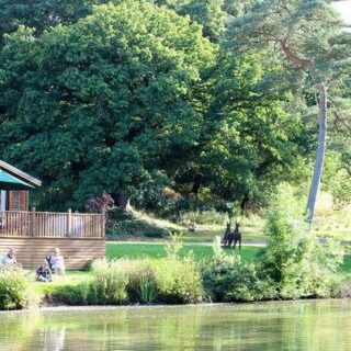 Fishing Lakes in Devon - Day Ticket Lakes
