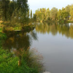 A1 Pits - South Muskham Fisheries (Nottinghamshire) - Day Ticket Lakes