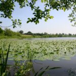 Fishing Lakes in Shropshire - Day Ticket Lakes