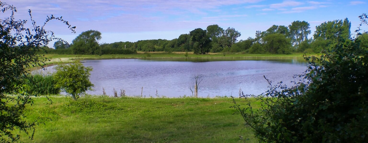 Hackett Lakes (Nottinghamshire) - Day Ticket Lakes