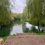 Blackthorn Fishery (Shropshire) - Day Ticket Lakes