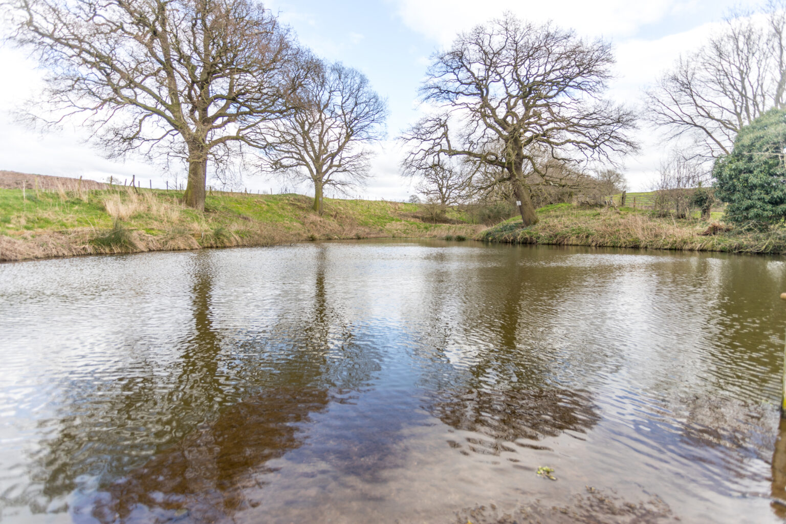Betley Mere (Staffordshire) - Day Ticket Lakes