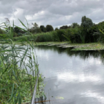 Combwich Pond (Somerset) - Day Ticket Lakes