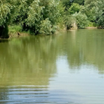 Fishing Lakes in Suffolk - Day Ticket Lakes