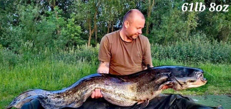 Cudmore Fisheries (Staffordshire) - Day Ticket Lakes