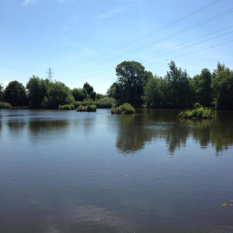 Fishing Lakes in Somerset - Day Ticket Lakes