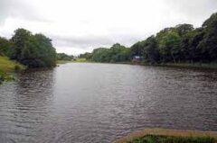 Day Ticket Lakes | Carp & Coarse Day Ticket Fishing Lakes Near You