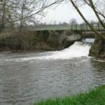 Fishing Lakes in Somerset - Day Ticket Lakes