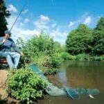 Fishing Lakes in Somerset - Day Ticket Lakes