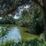 Ryton Pools Country Park (Warwickshire) - Day Ticket Lakes